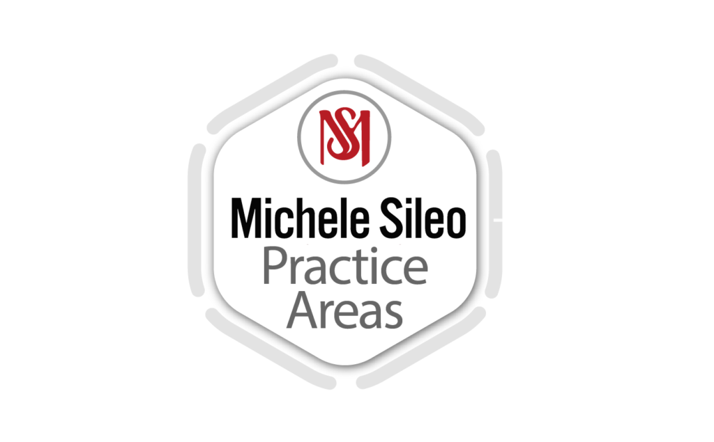 Michele Sileo – Attorney | Professor | Mentor